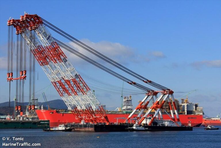 世界ランキング